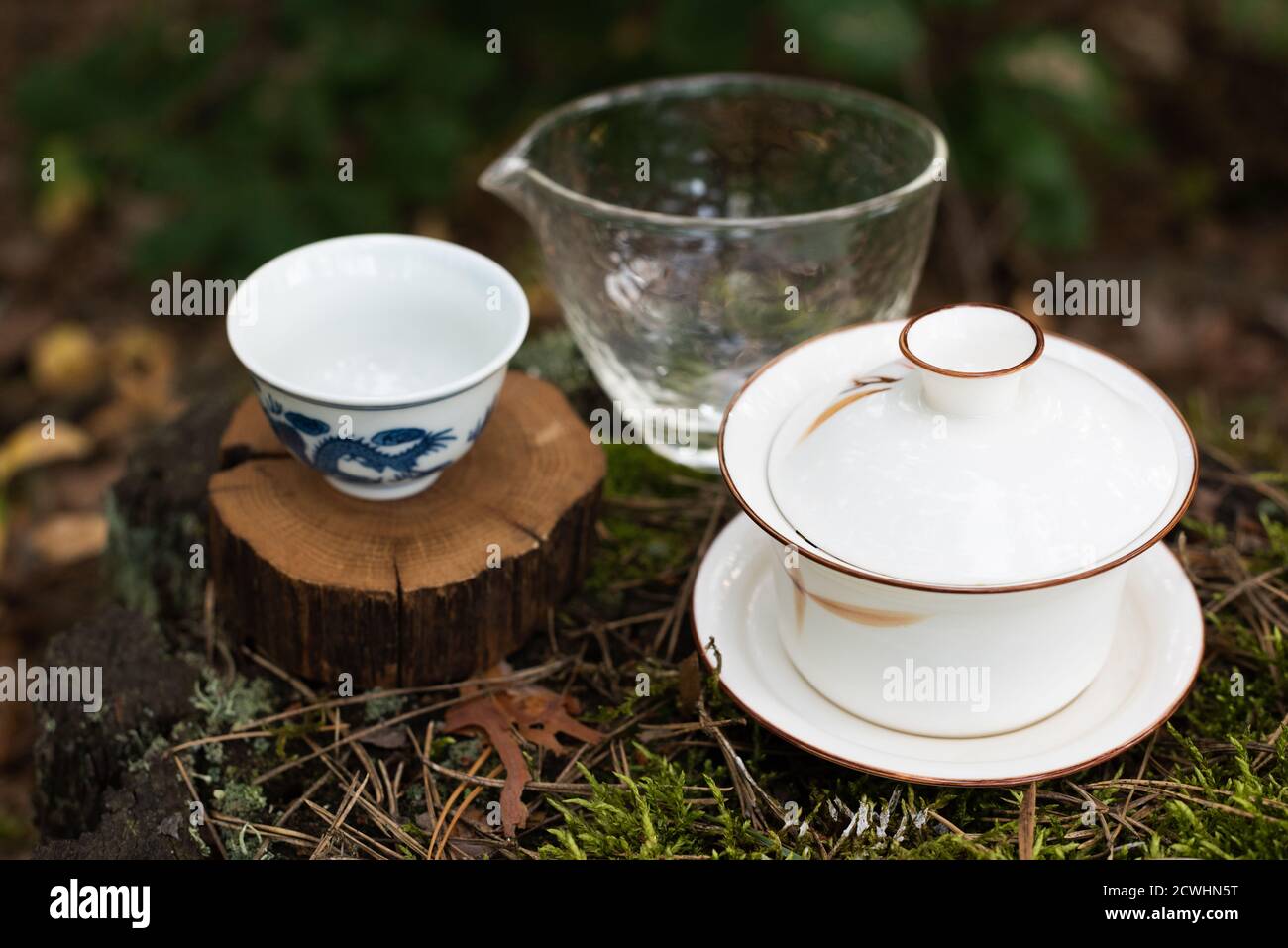 Oak wod stand hi-res stock photography and images - Alamy