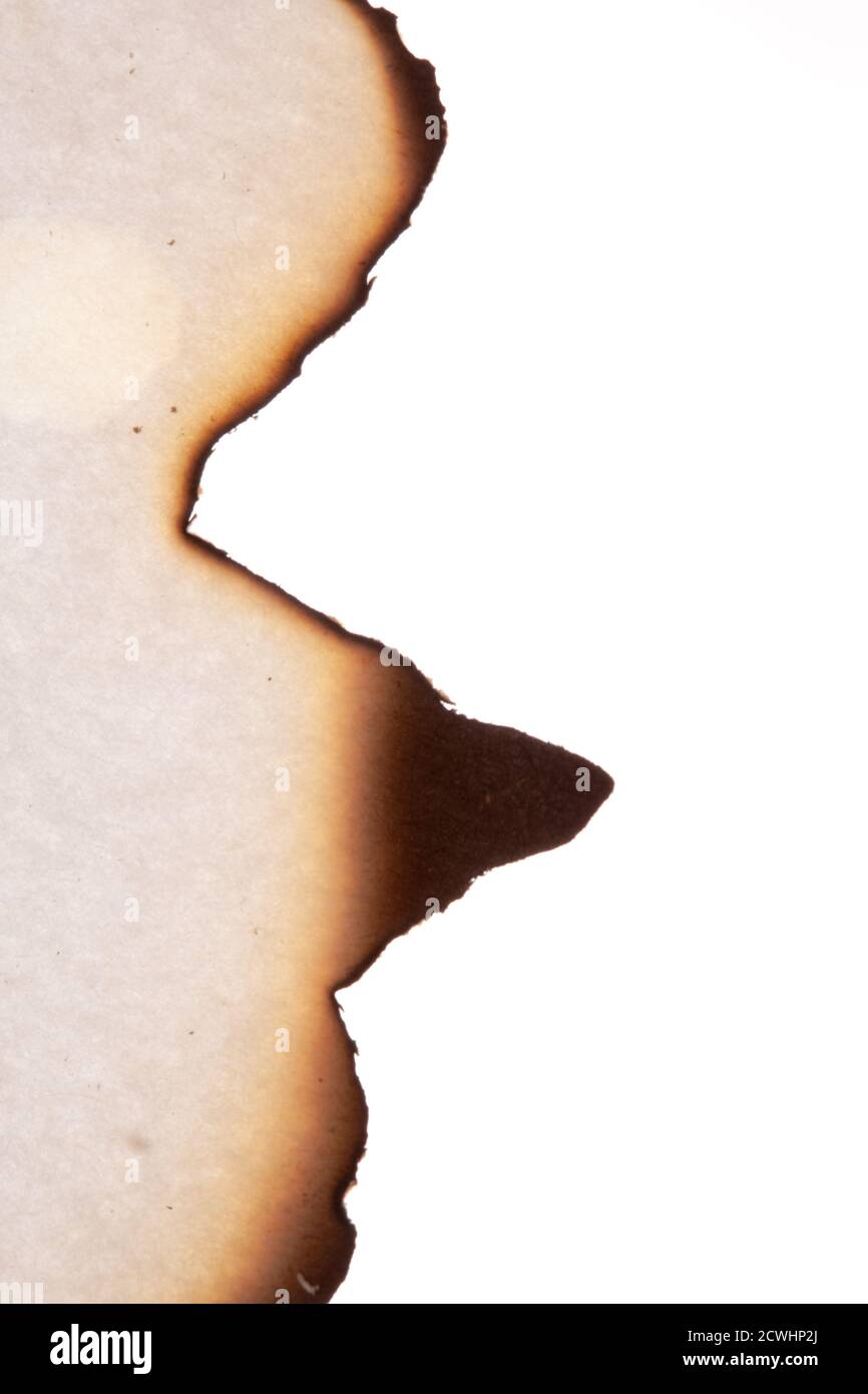 burnt paper edges isolated on white background. template for design ...