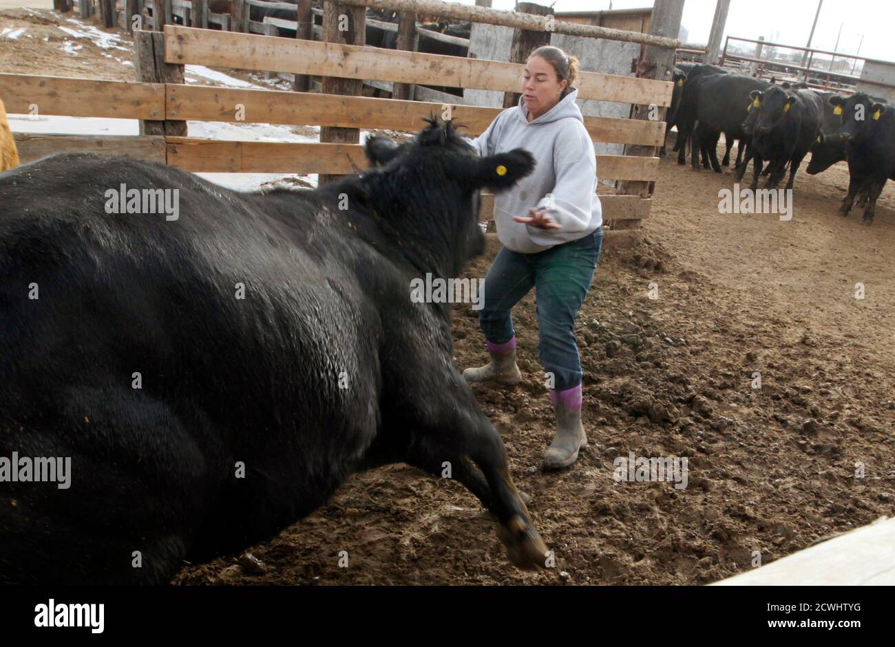 Cattle rustlers old west hi-res stock photography and images - Alamy