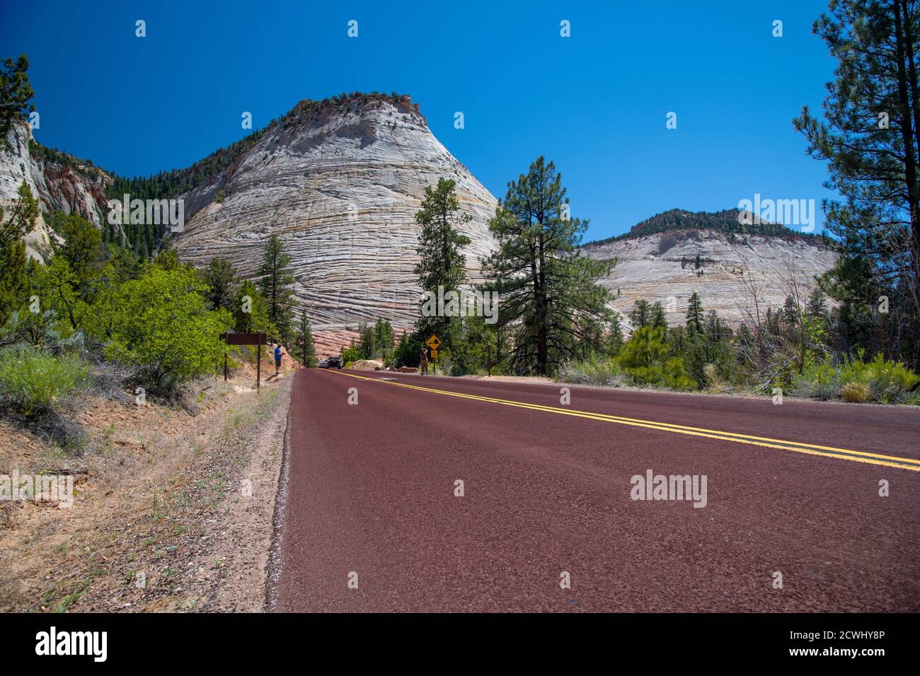 Checkerboard Mesa, famous mountain in Zion National Park, USA Stock ...