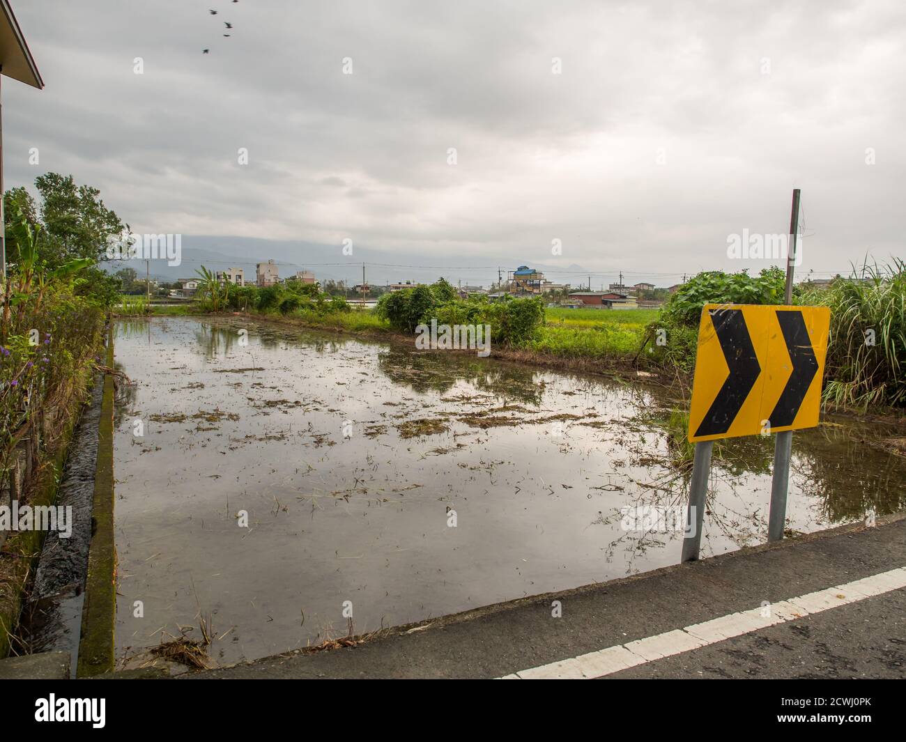 Rice fields after harvest between flats in Yilan. On the front visible ...