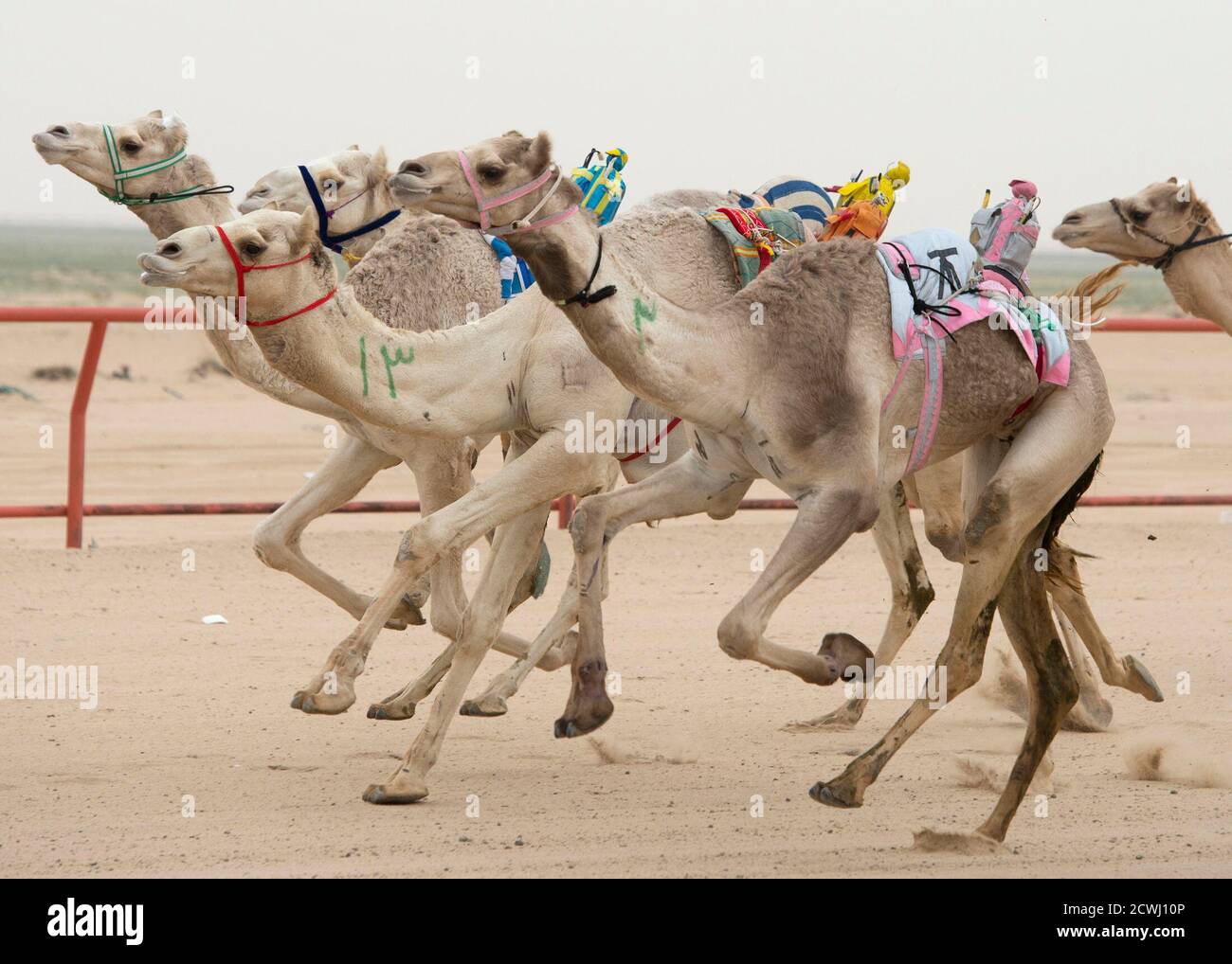Kuwait images hi-res stock photography and images - Alamy