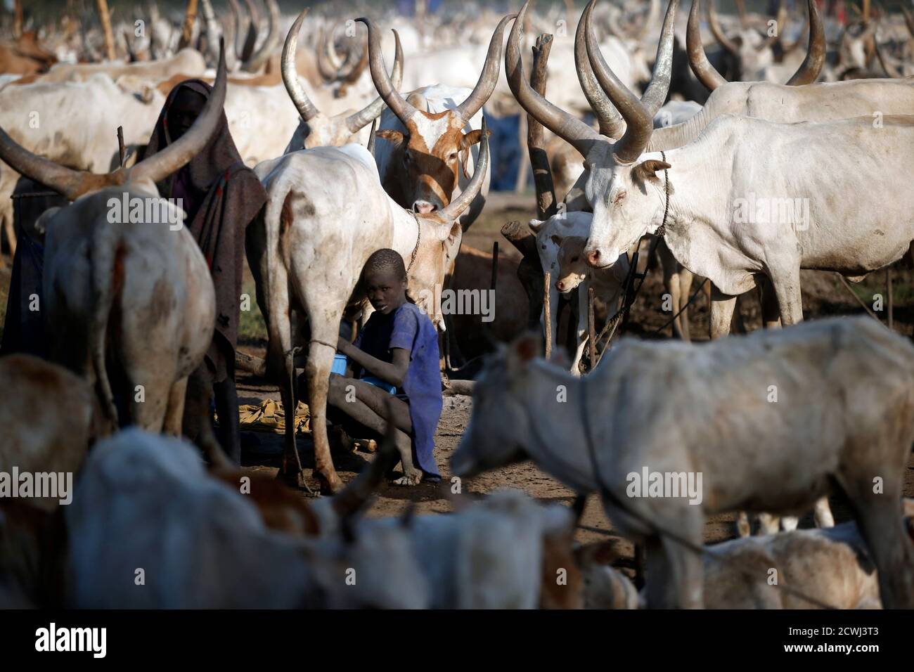 Dinka Boy High Resolution Stock Photography and Images - Alamy
