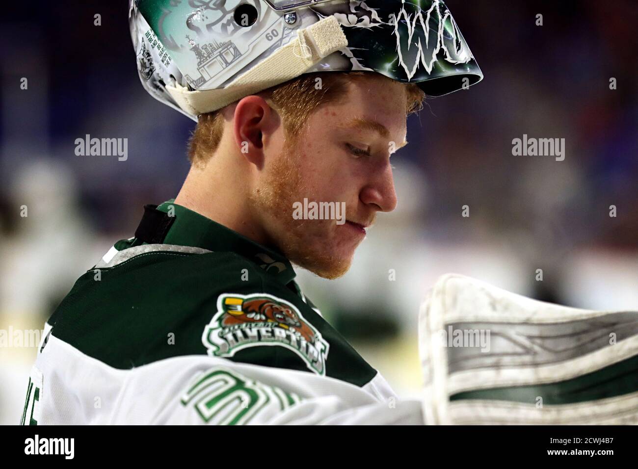 Western wolf canada hi-res stock photography and images - Alamy