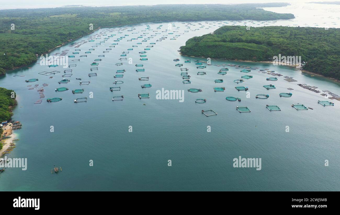 Fishing industry. Fish farming on an industrial scale. Aerial view of ...