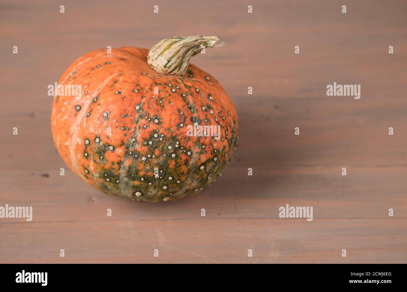 Warts face hi-res stock photography and images - Alamy