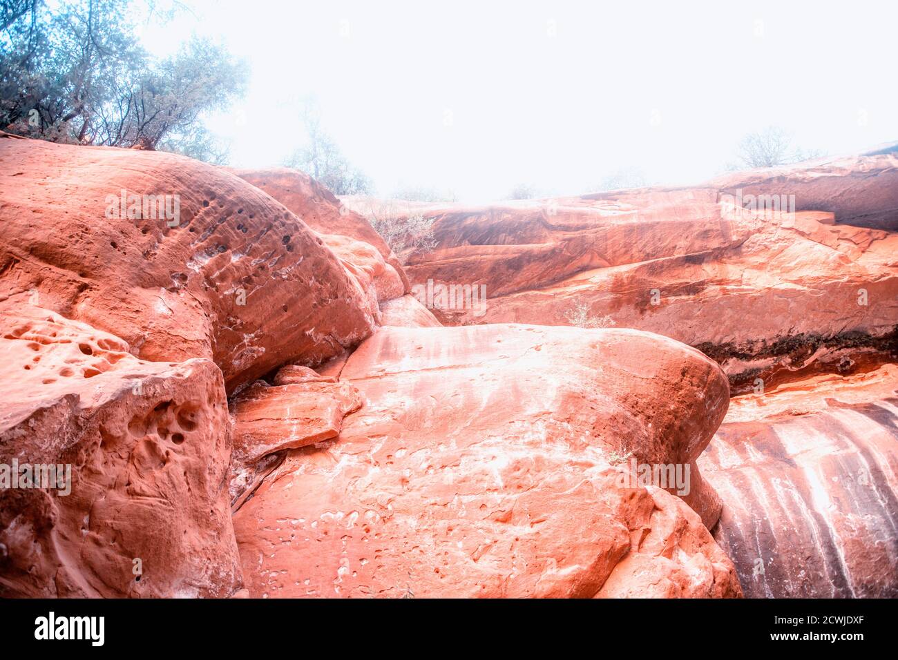 Red Rocks and Mountains of Zion National Park in summer season, USA ...