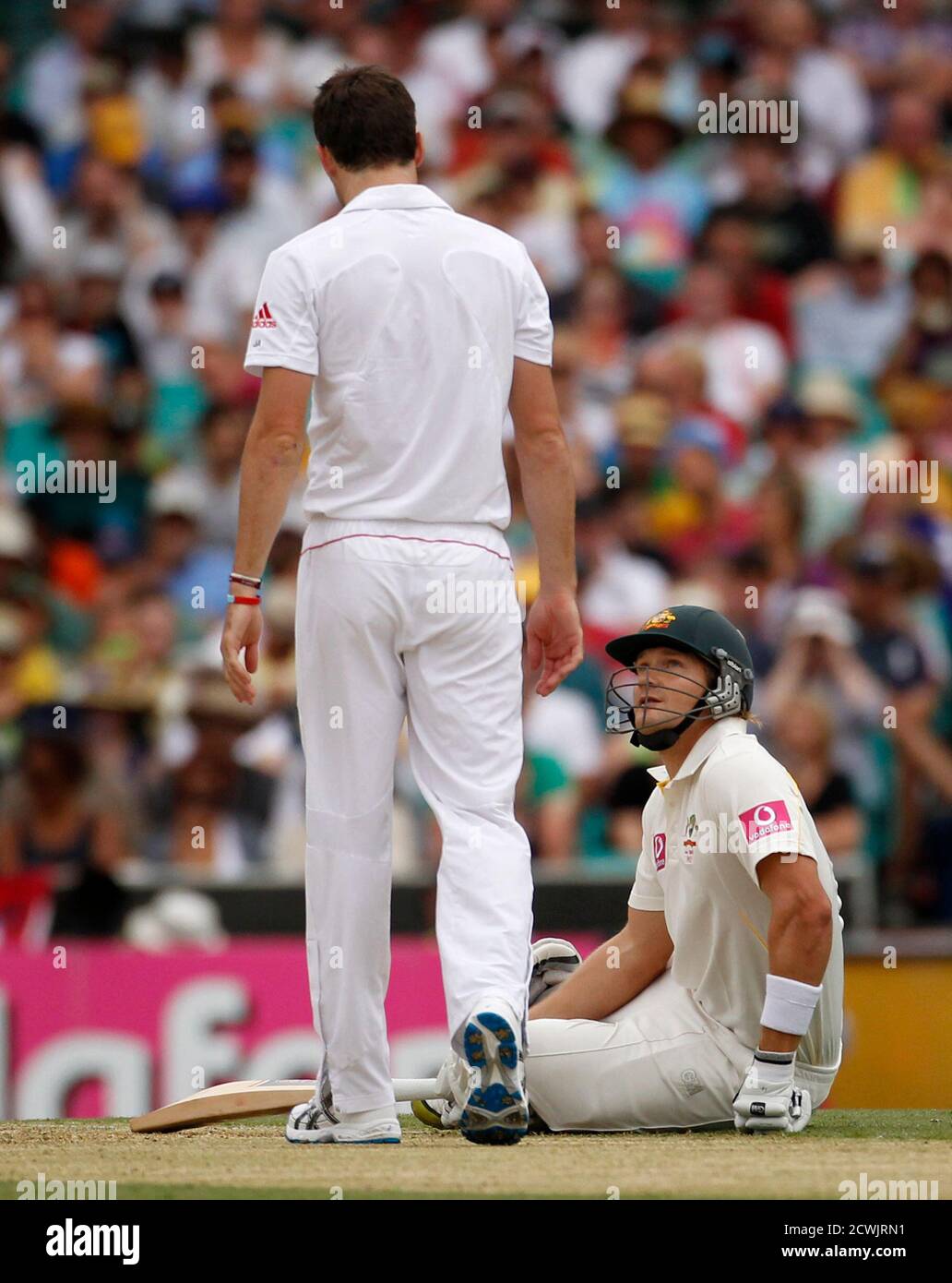 Tim anderson sydney hi-res stock photography and images - Alamy