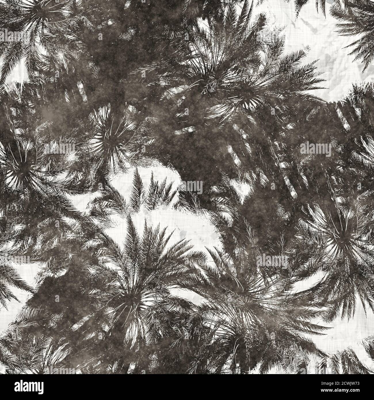 Neutral tropical palm tree leaves seamless pattern Stock Photo - Alamy