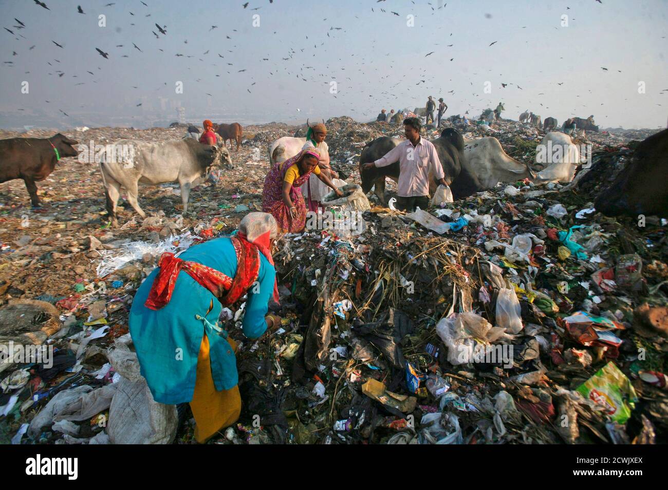 Pollution pictures of india hi-res stock photography and images - Alamy