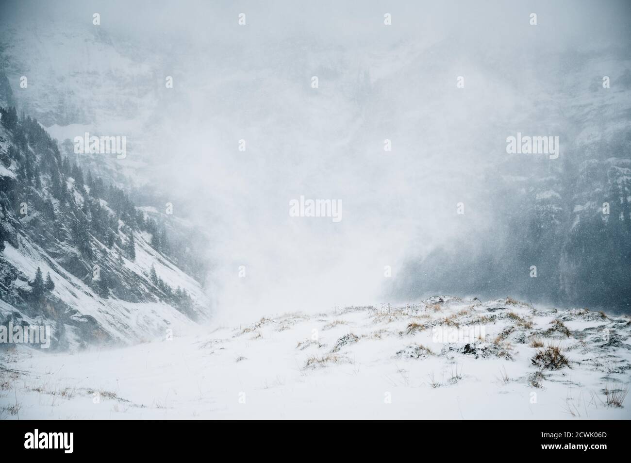 blizzard on Grindelwald First Stock Photo - Alamy