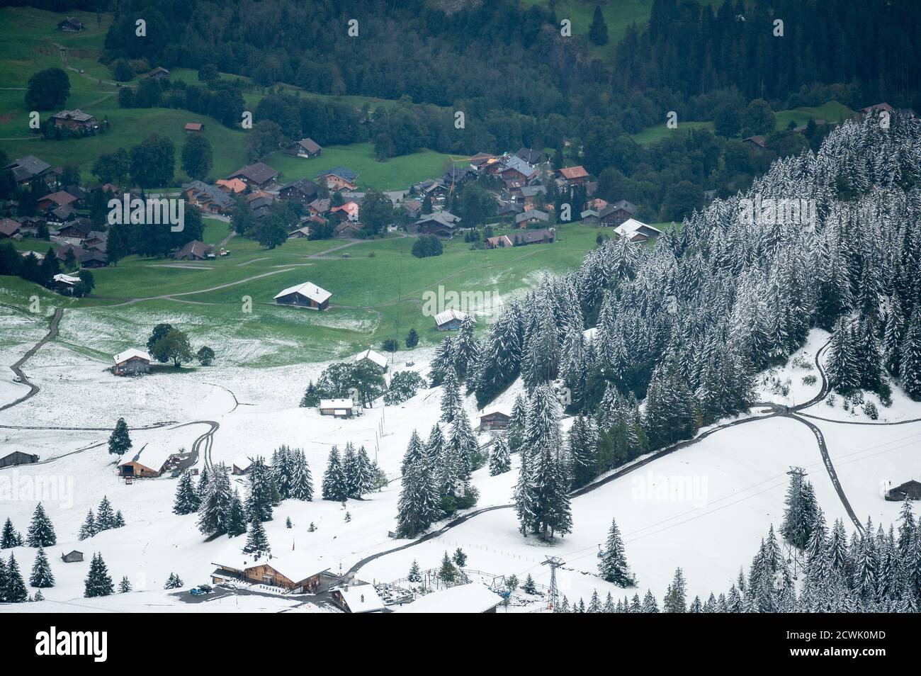 Grindelwald during first snow with forest Stock Photo - Alamy