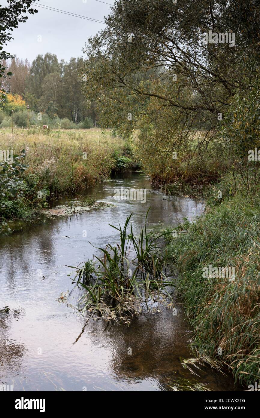 Landscape with river and trees Stock Photo - Alamy