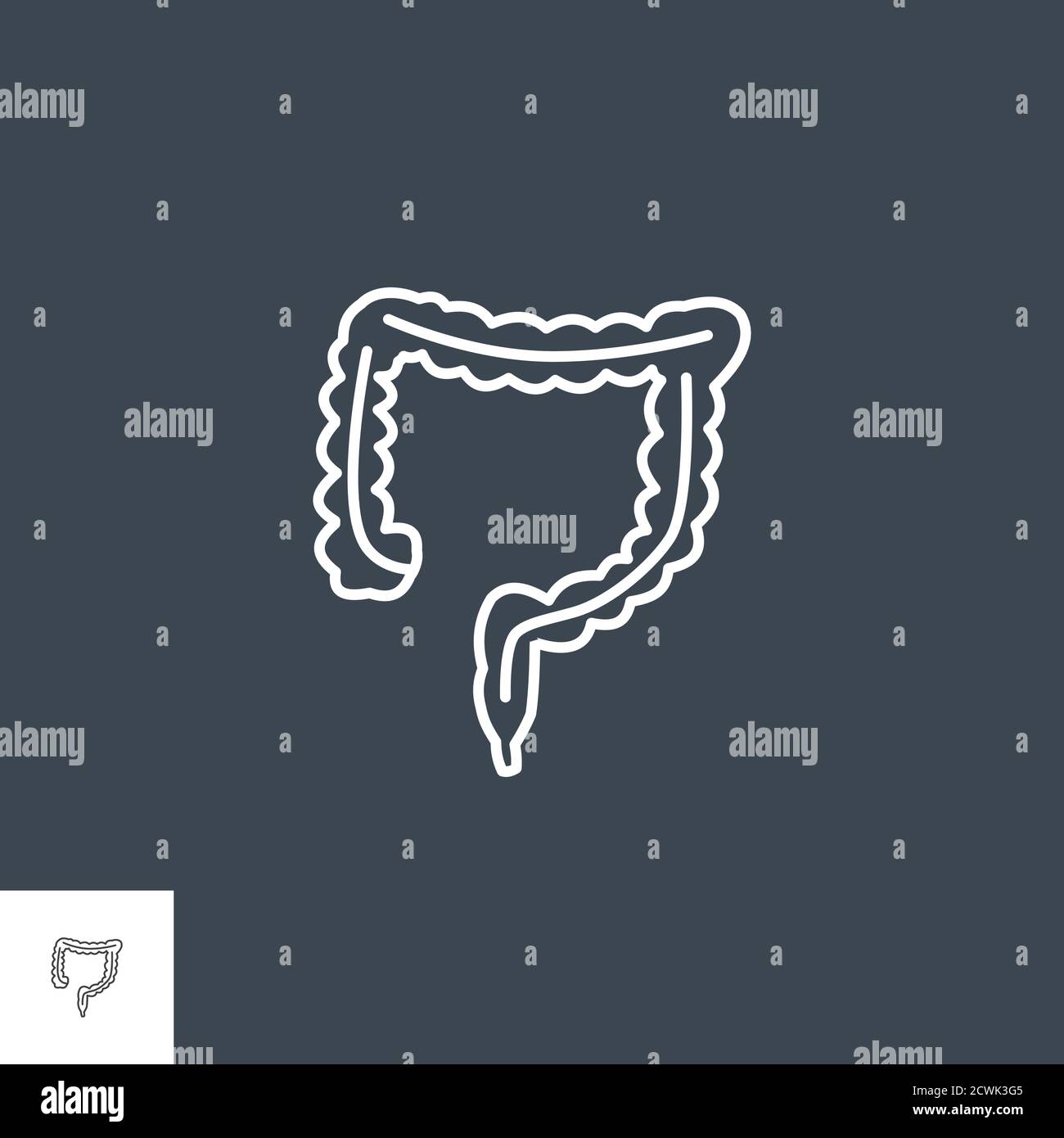 Intestines Vector Line Icons Stock Vector Image & Art - Alamy