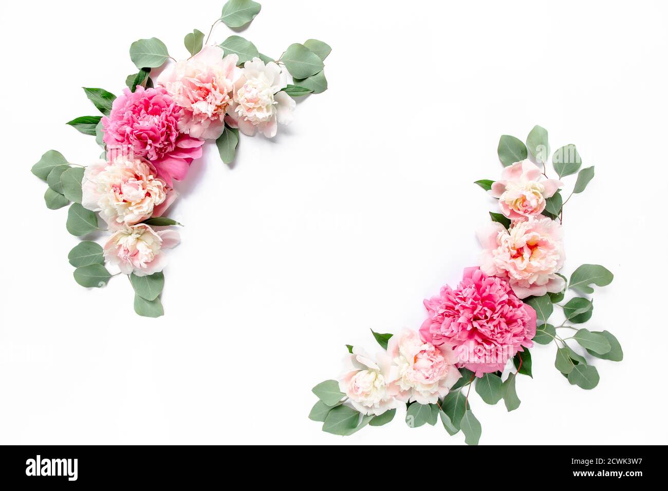 frame made of beautiful pink peonies on wooden white background. Flat ...