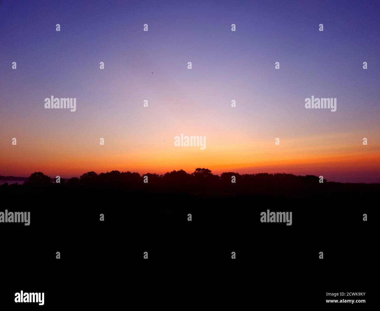 Early evergreen hi-res stock photography and images - Alamy