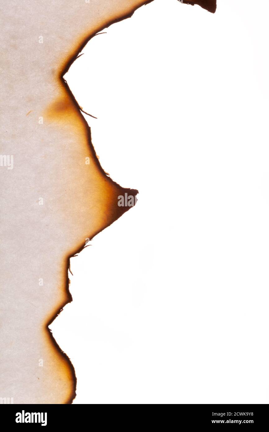 burnt paper edges isolated on white background. template for design ...