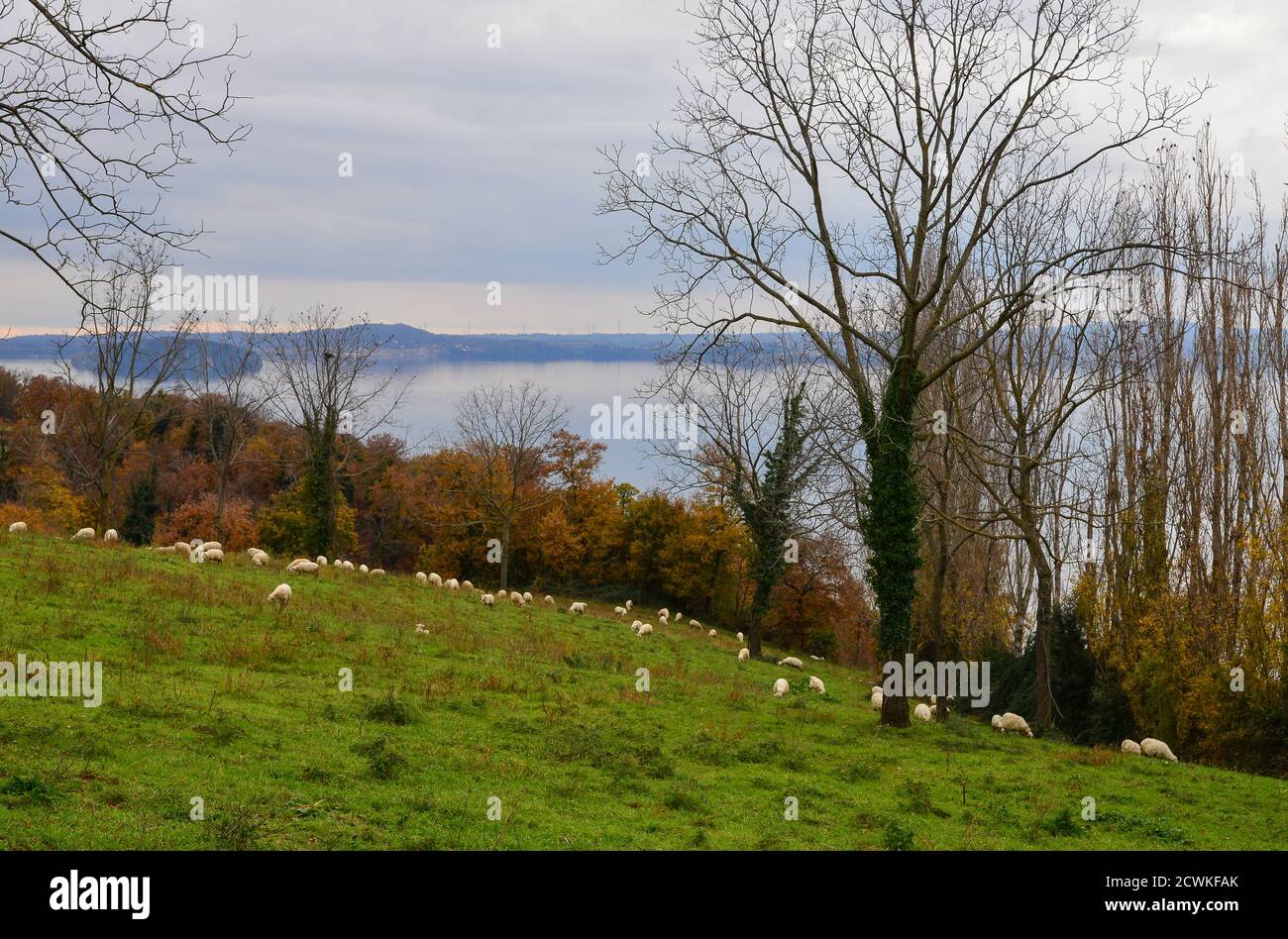 Marta (Italy) - A little medieval town on Bolsena lake with suggestive ...