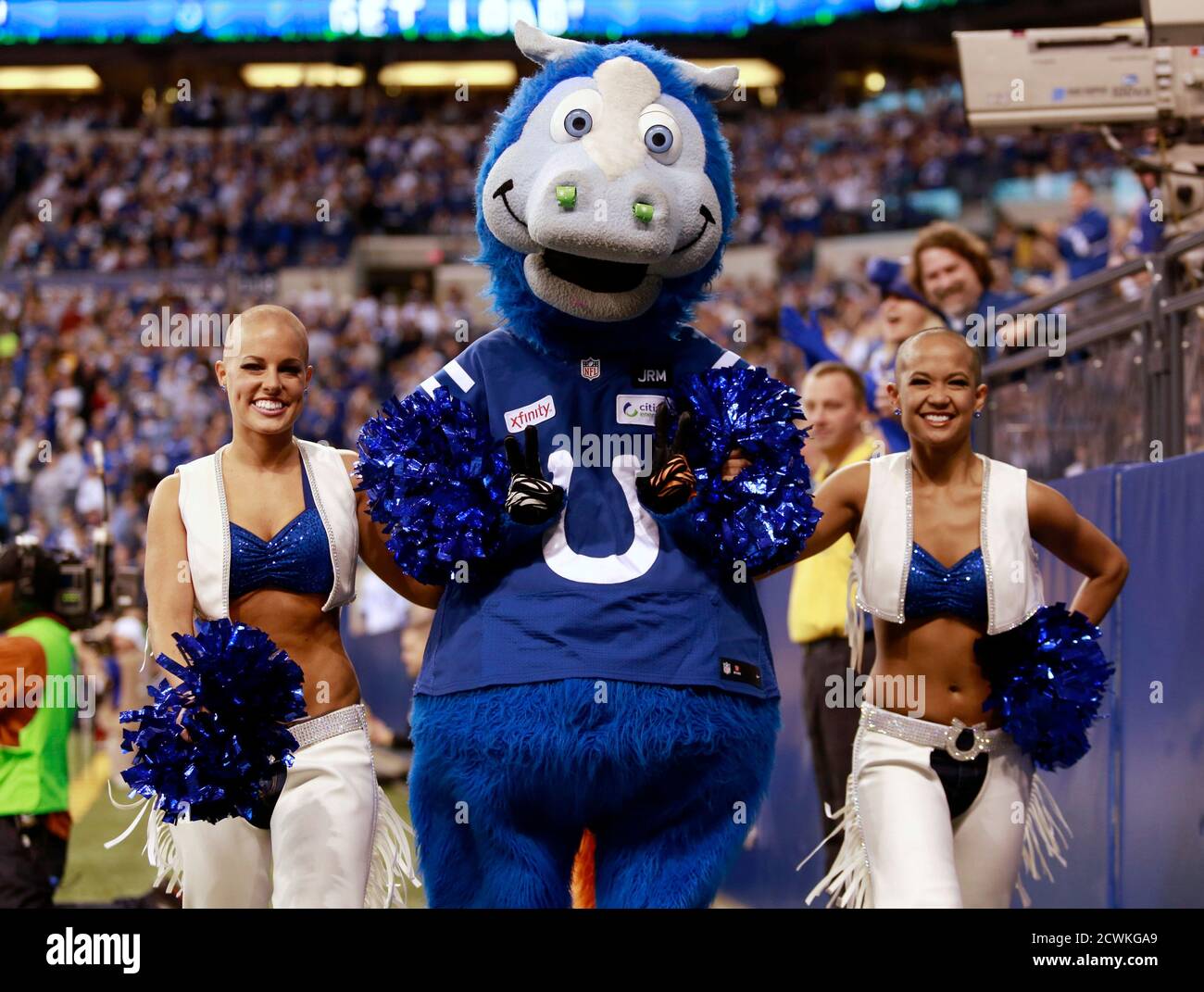 Colts cheerleaders hi-res stock photography and images - Alamy