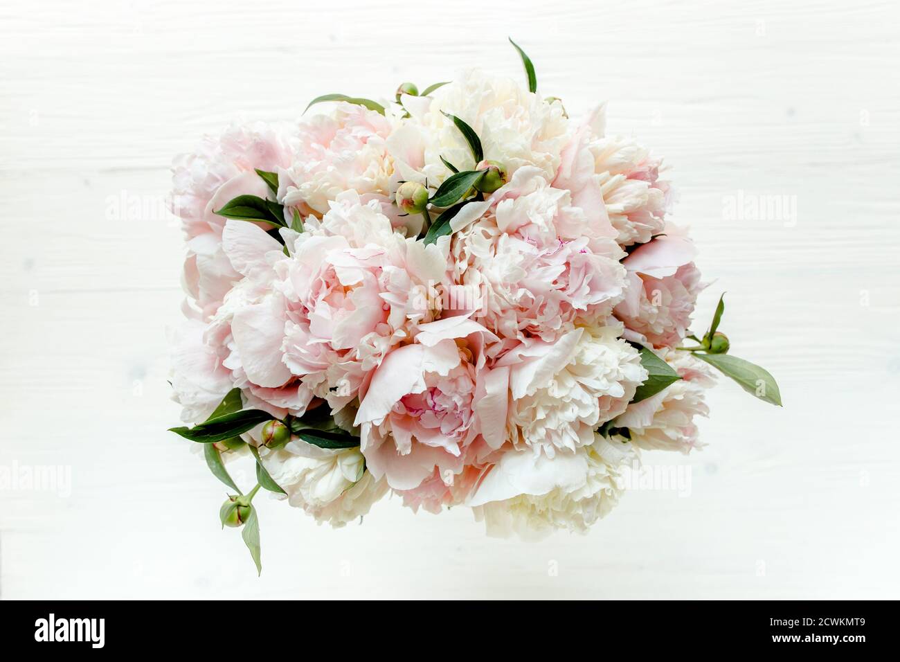 Bouquet of a lot of peonies of pink color close up. Flat lay, top view ...