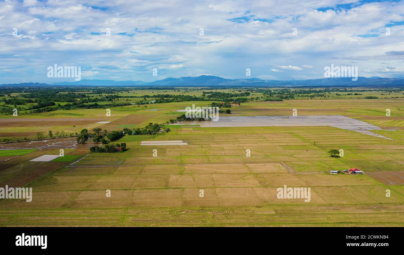 Agricultural land and rice fields in the Philippines. Cultivated ...