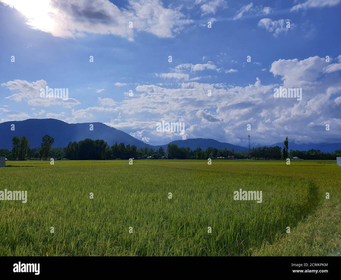 Destination View of cloudy blue sky beautiful villages and rice fields ...