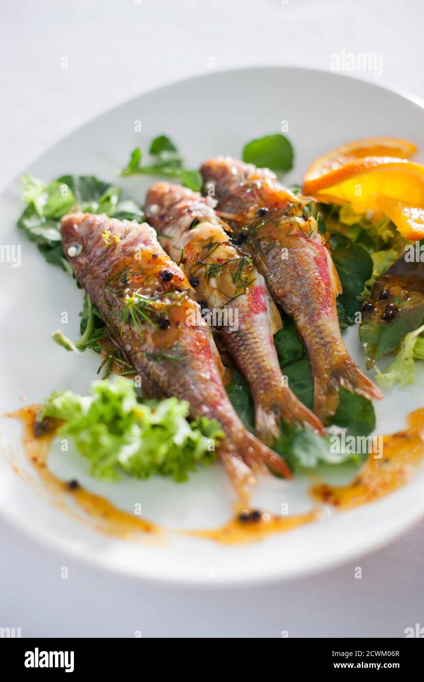 Plate of Fried Small Fish Red Mullet Stock Photo - Alamy