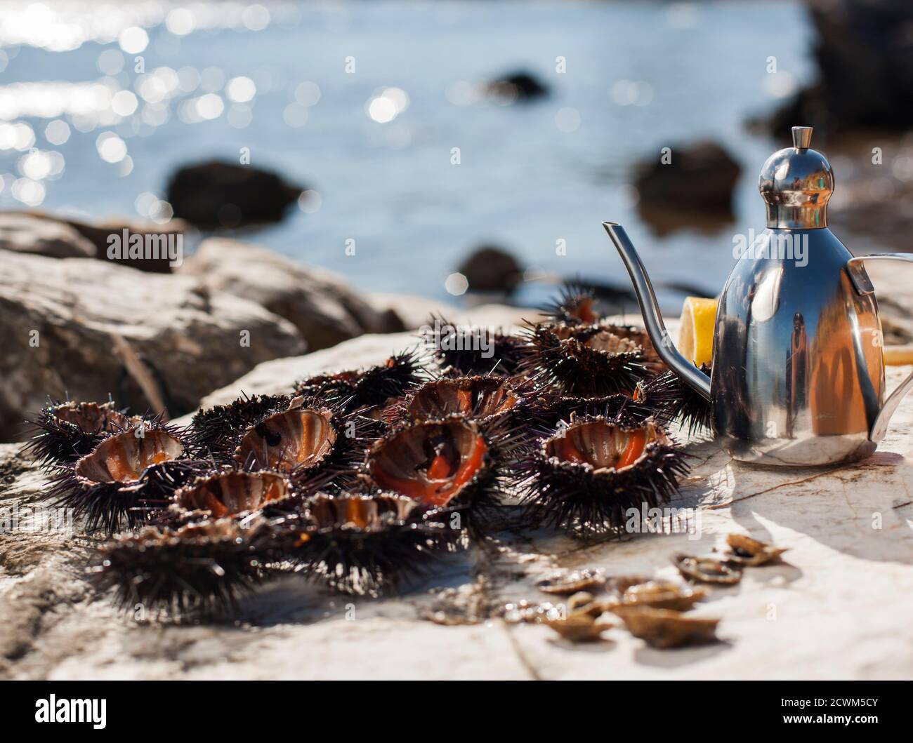 Sea Urchins on Rock with Olive Oil Stock Photo - Alamy