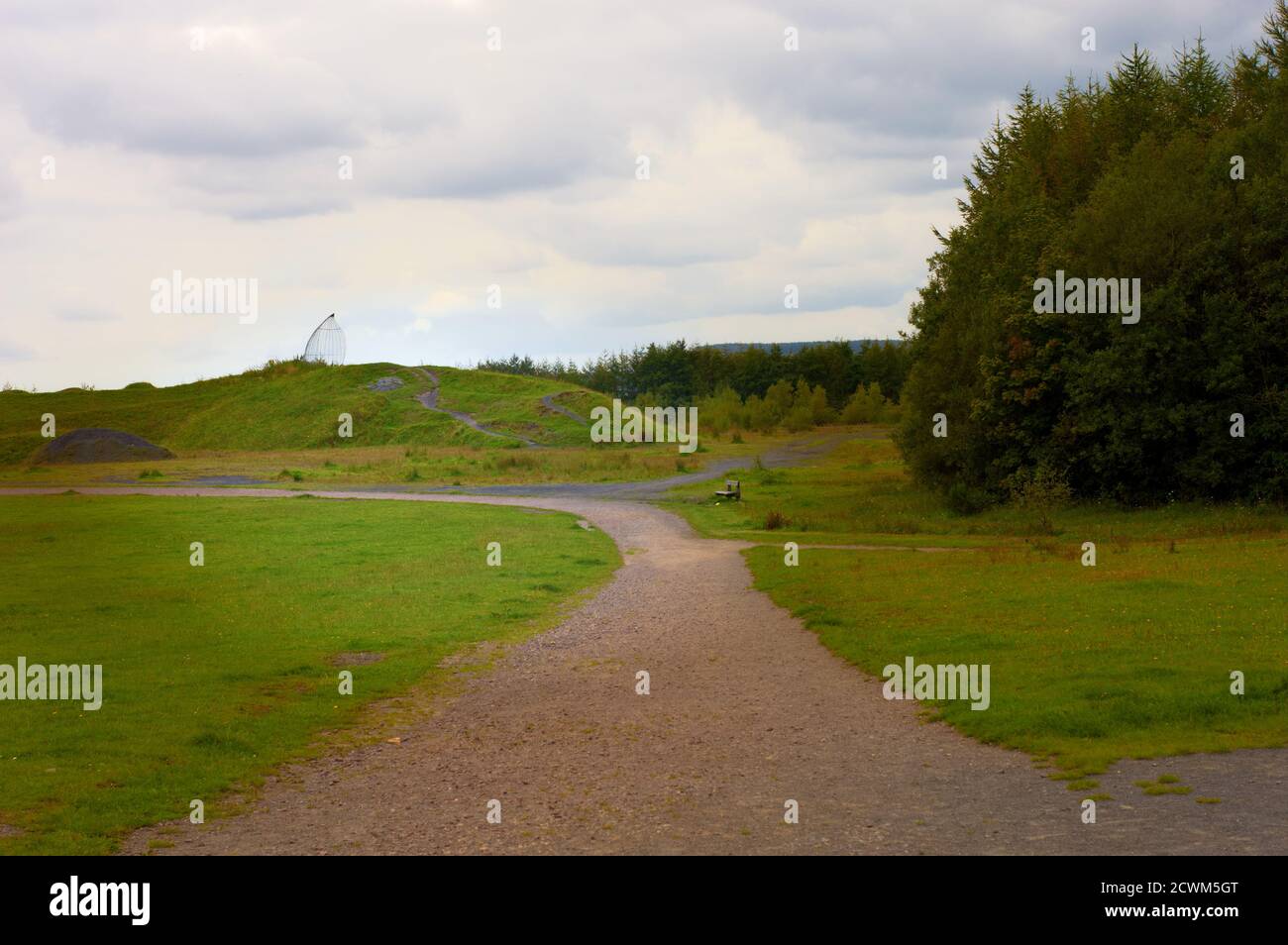 Pit pony wales hi-res stock photography and images - Alamy