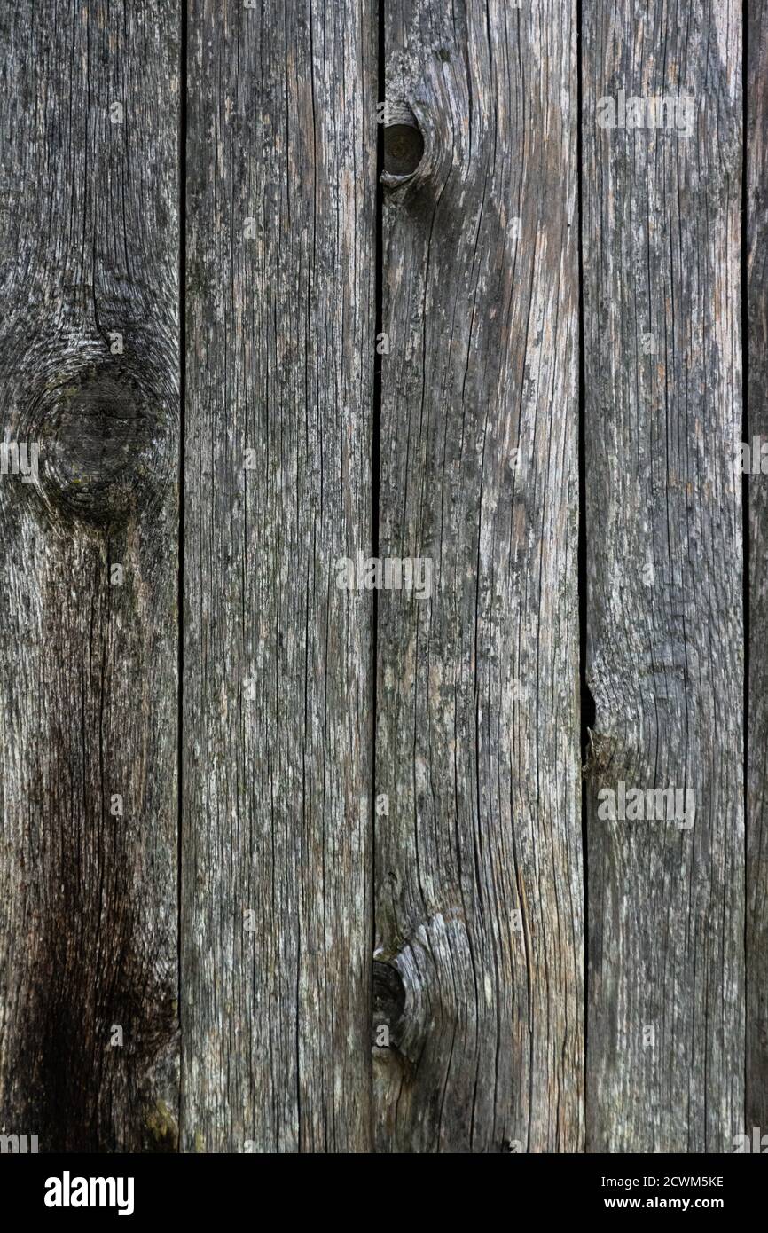 Grey wood timber grain background hi-res stock photography and images ...