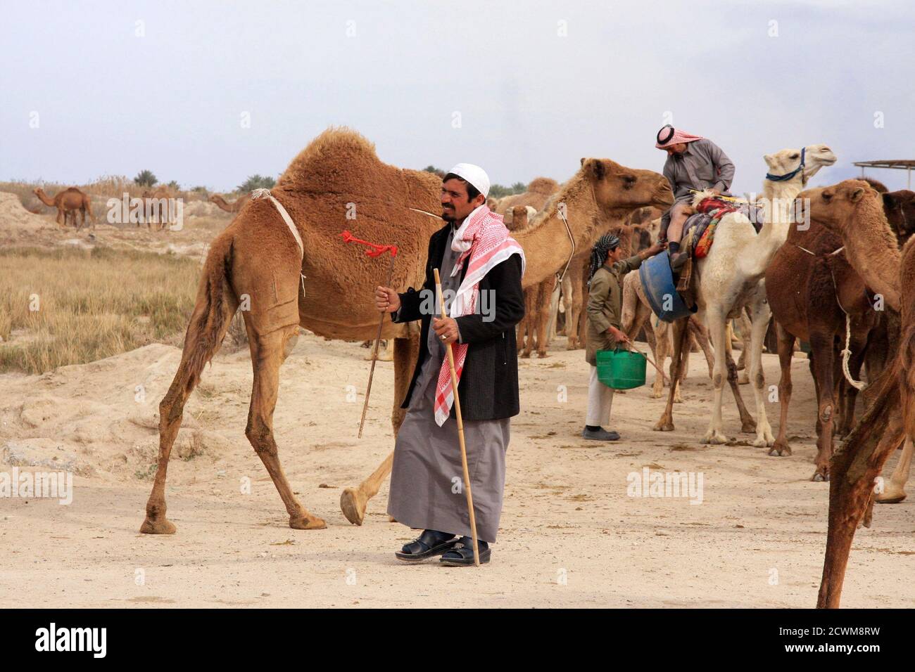 Camels And Shepherds In The Desert High Resolution Stock Photography ...