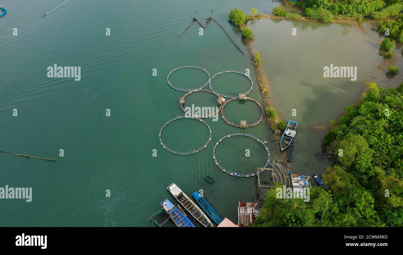 Fishing industry. Fish farming on an industrial scale. Aerial view of ...