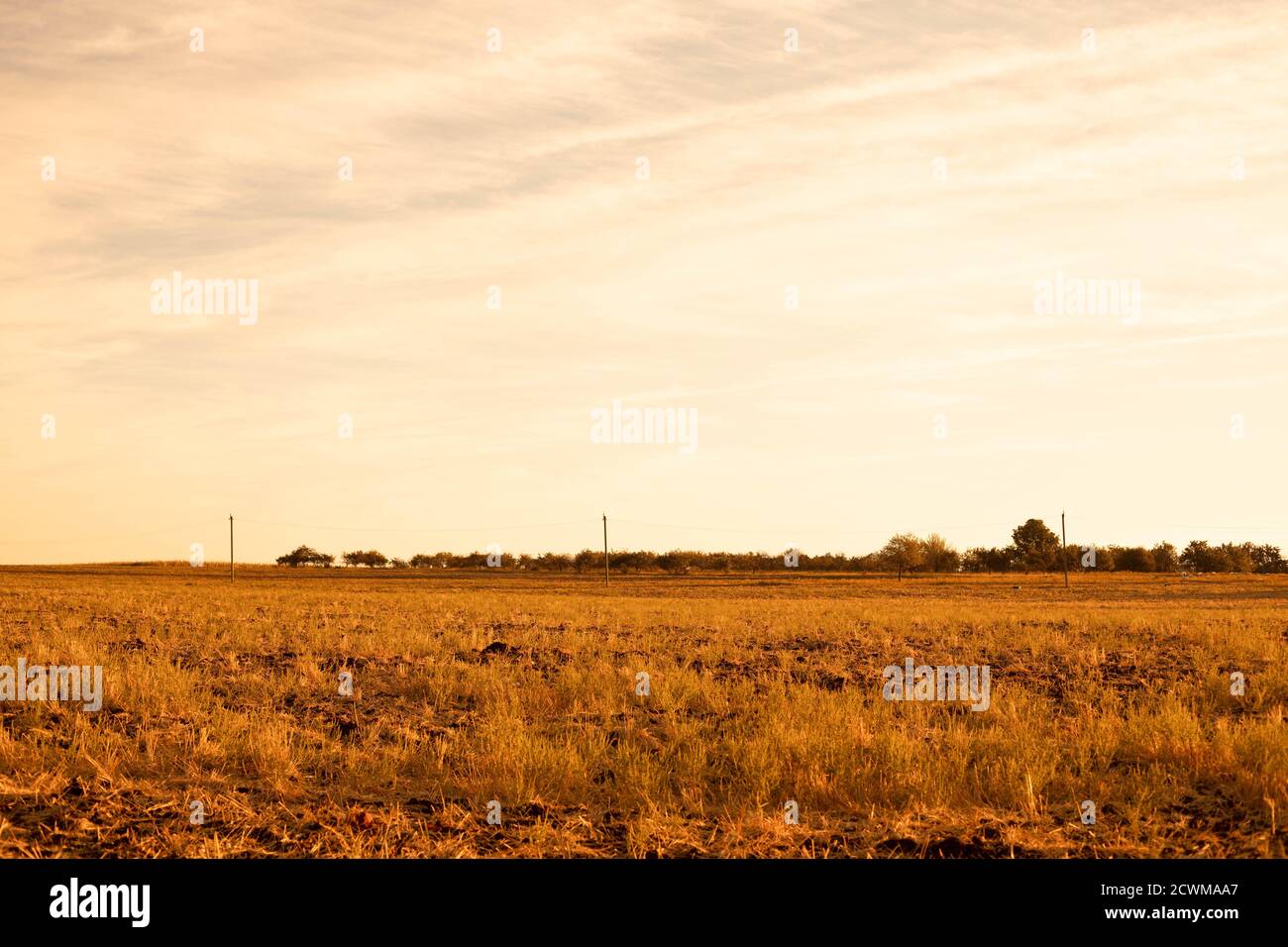 Beautiful panoramic horizontal landscape view with sky and golden grass ...
