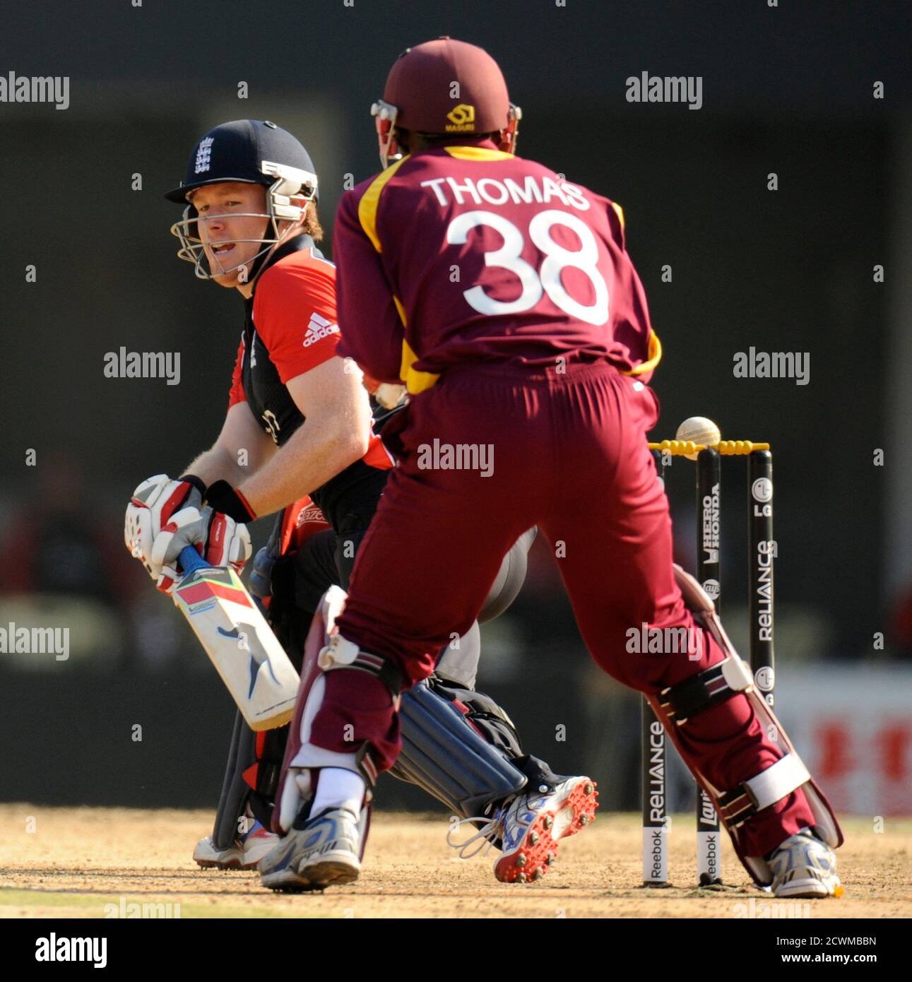 Devon thomas cricket hi-res stock photography and images - Alamy