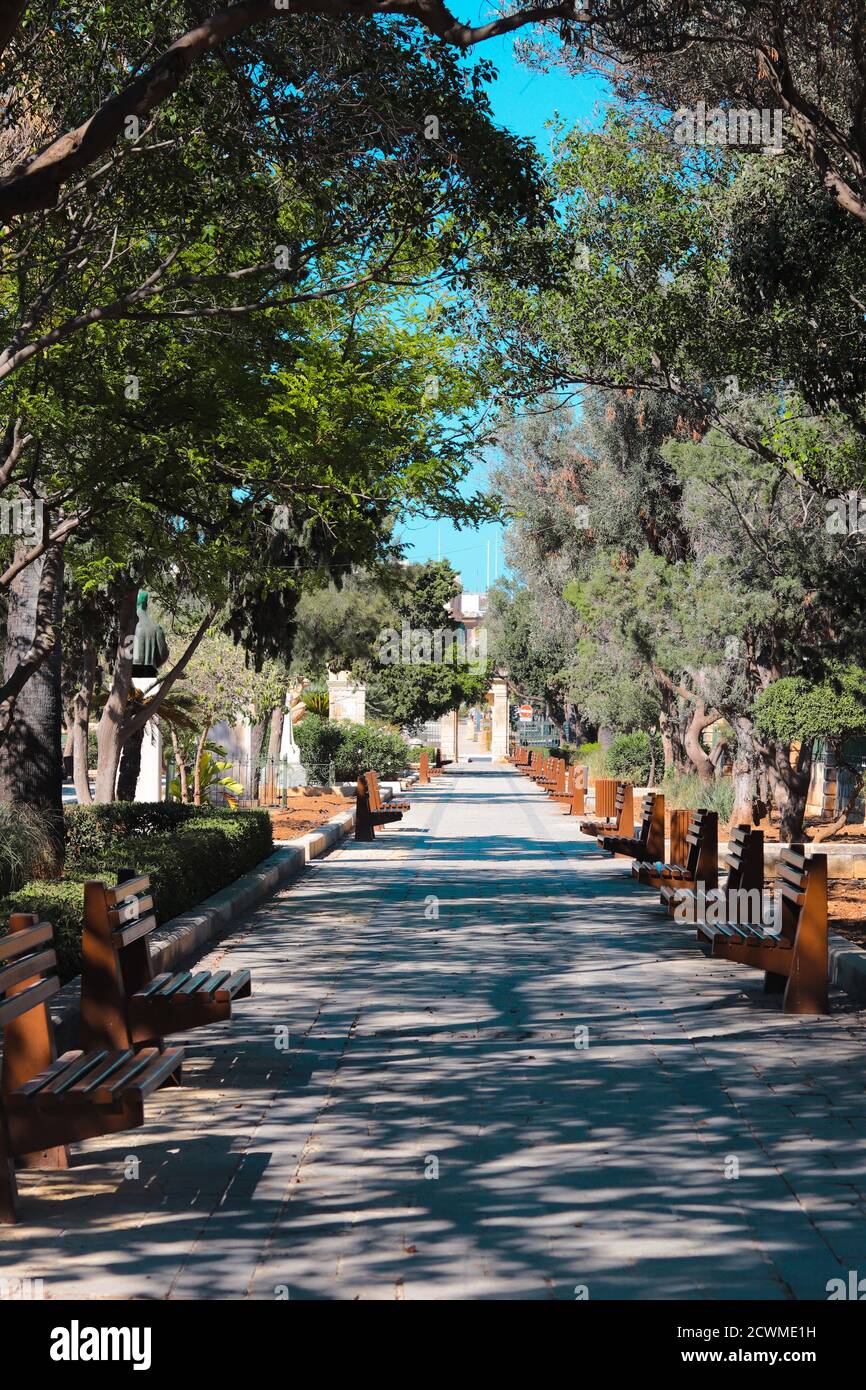 Wooden bench olive tree hi-res stock photography and images - Alamy