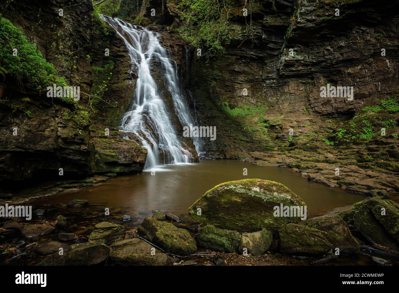 Hareshaw Linn, Northumberland National Park, Bellingham, Northumberland ...