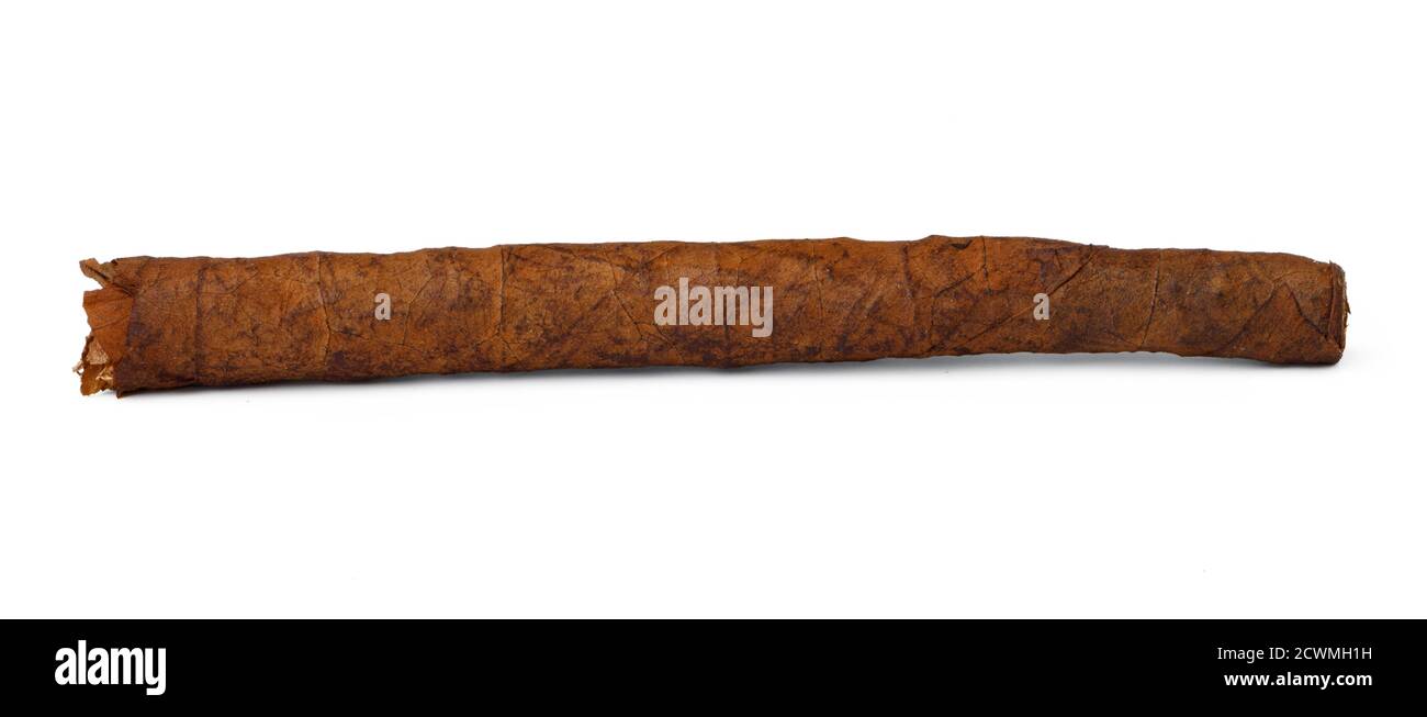 One hand rolled cigar isolated on white Stock Photo - Alamy
