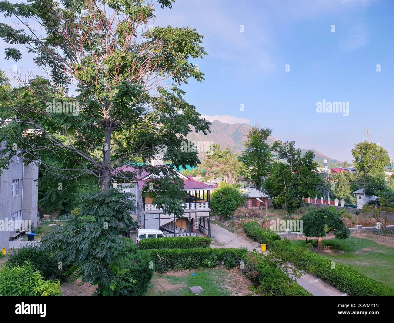Green vegetable field landscape nature huge beautiful hills and long ...