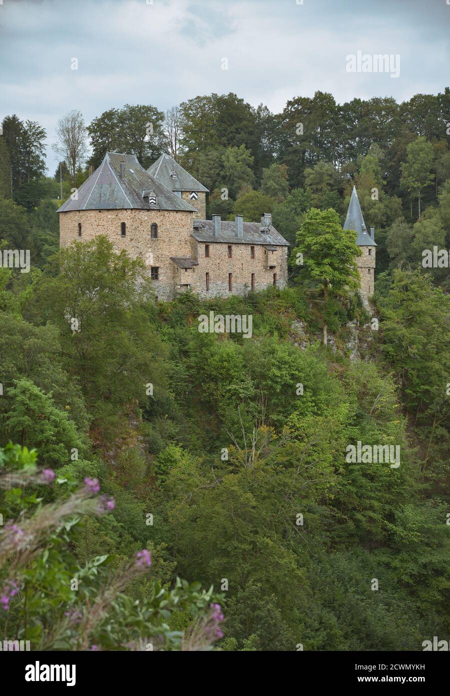 Reinhardstein castle hi-res stock photography and images - Alamy
