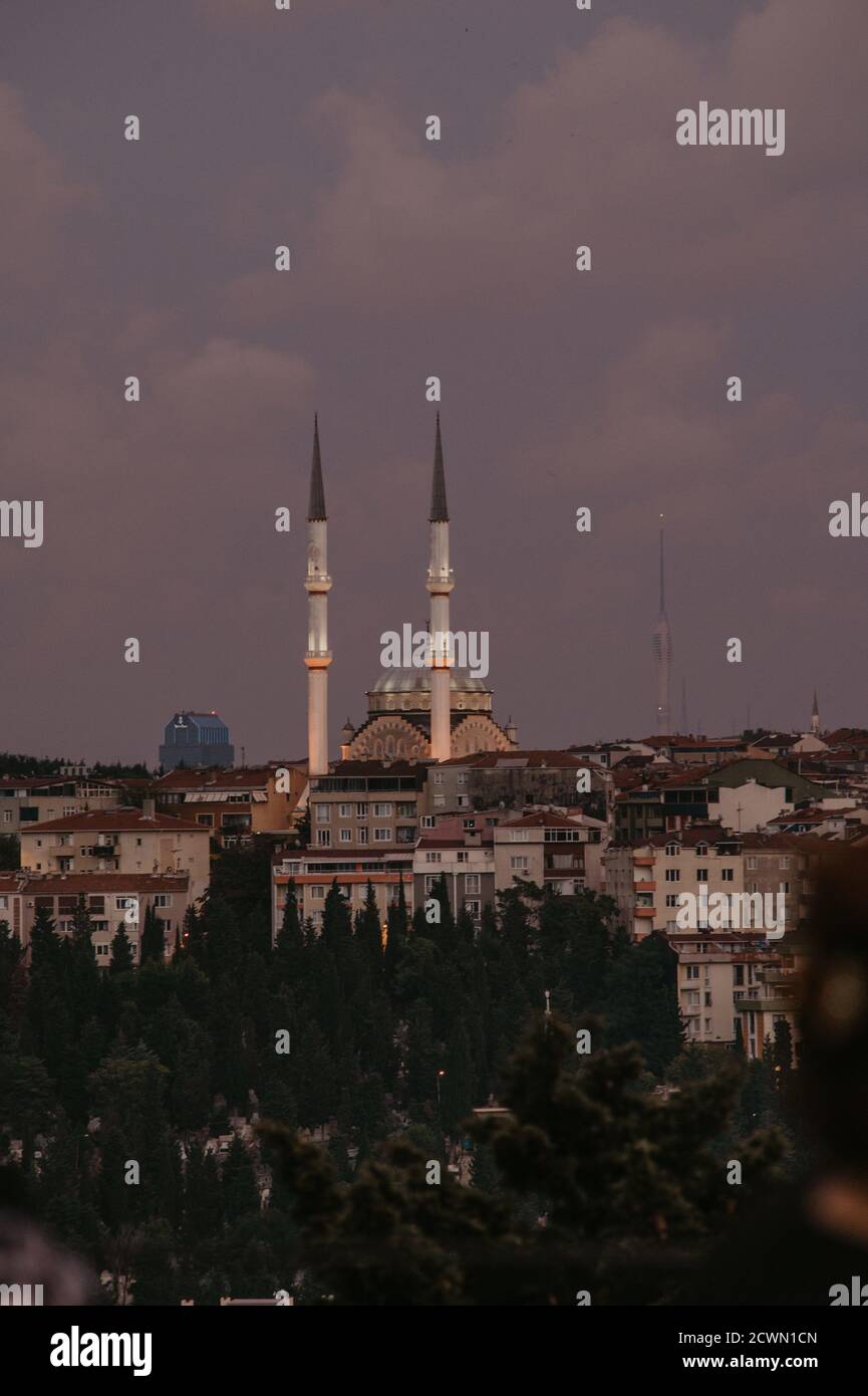 Vertical shot of the beautiful cityscape of Istanbul with a view of ...
