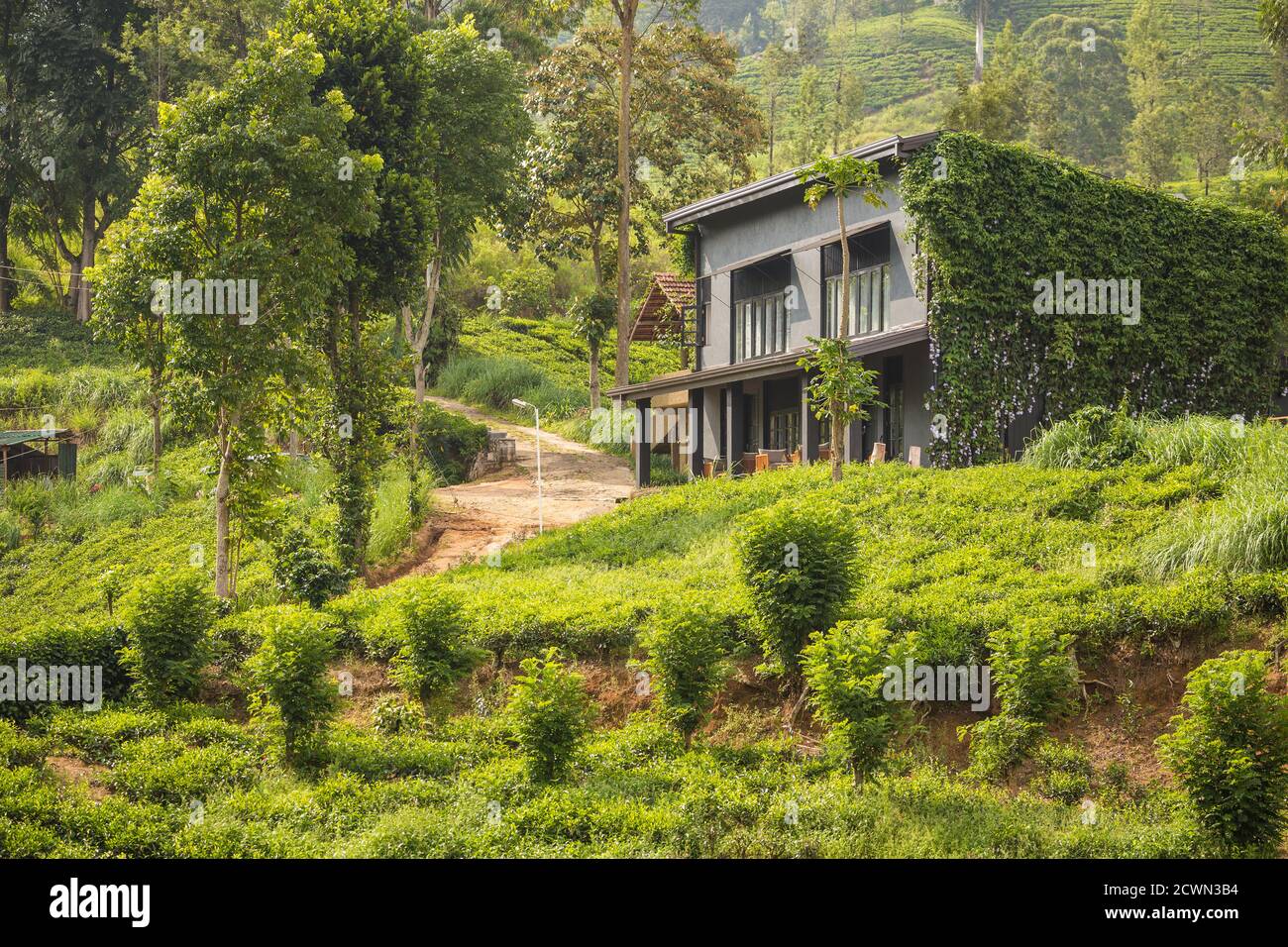 Sri Lanka, Hatton, Castlereagh Lake, Farm Resorts hotel Stock Photo - Alamy