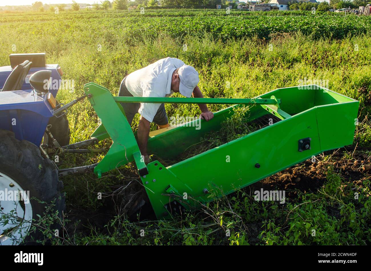 A farmer examines a machine for digging out potato root vegetables ...