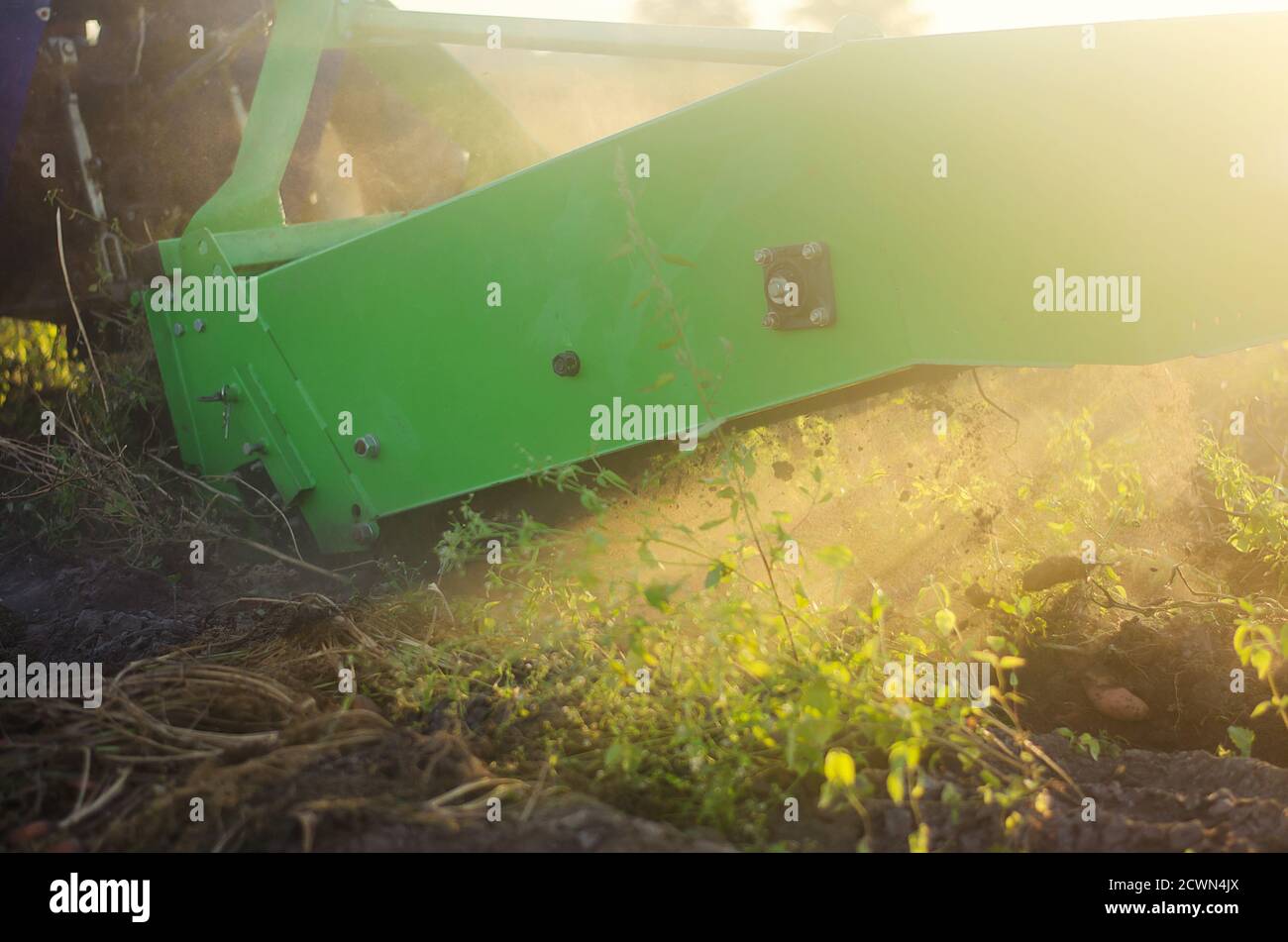 The process of digging potatoes out of the ground. Using machines to ...
