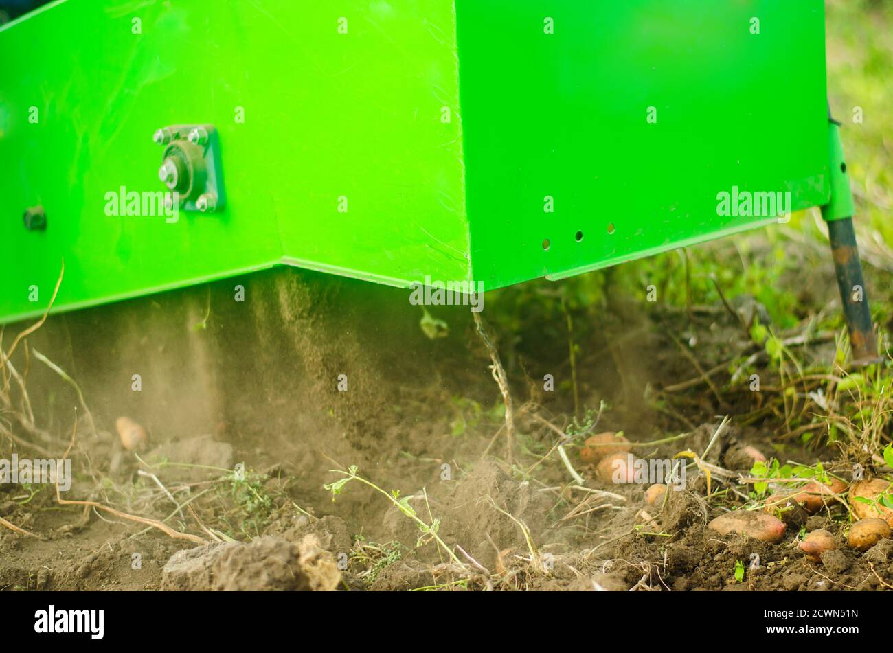 The process of digging potatoes out of the ground. Using machines to ...