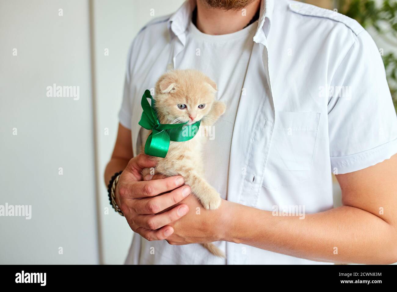Cat family gathering hi-res stock photography and images - Alamy