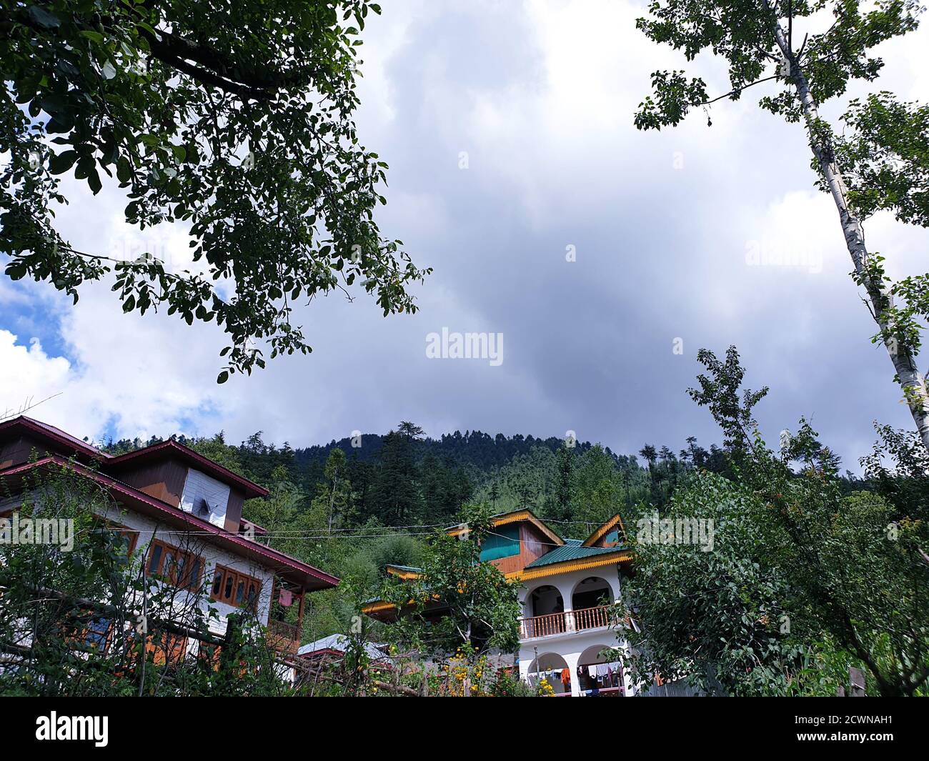 Green vegetable field landscape nature huge beautiful hills and long ...