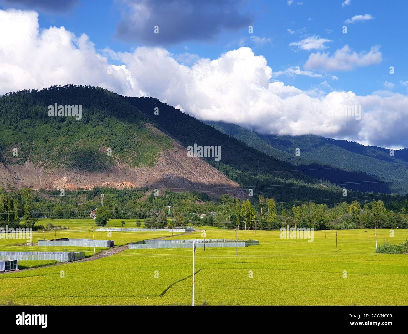 Green vegetable field landscape nature huge beautiful hills and long ...
