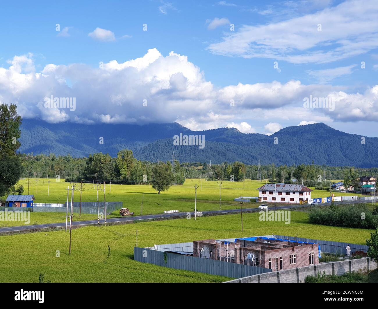 Green vegetable field landscape nature huge beautiful hills and long ...