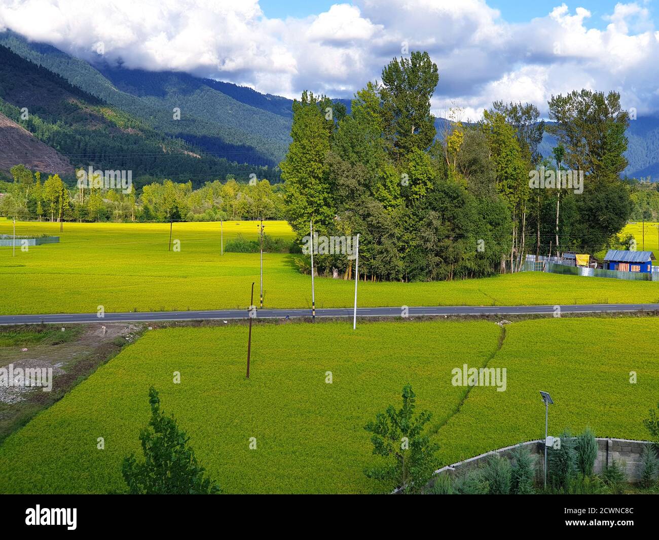 Green vegetable field landscape nature huge beautiful hills and long ...