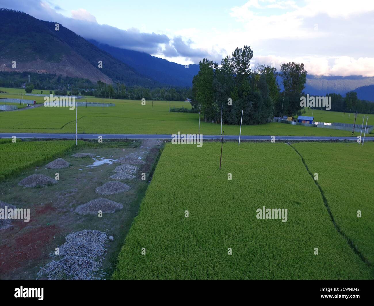 Green vegetable field landscape nature huge beautiful hills and long ...